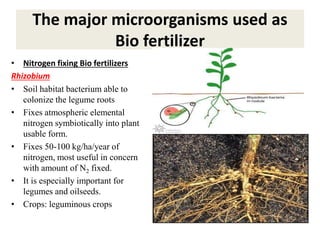role of bio.pptx