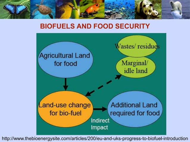 Role of biodiversity in food security