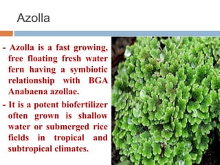 Role of biofertilizers in Horticulture | PPTX