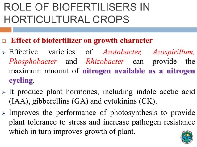 Role of biofertilizers in Horticulture | PPTX