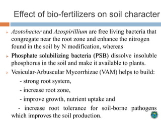 Role of biofertilizers in Horticulture | PPTX