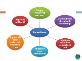 Role of biofertilizers in Horticulture | PPTX