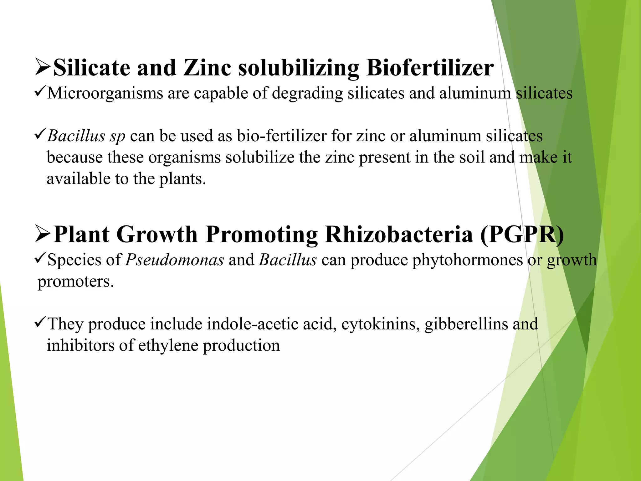 Role of biofertilizer in agriculture | PPTX