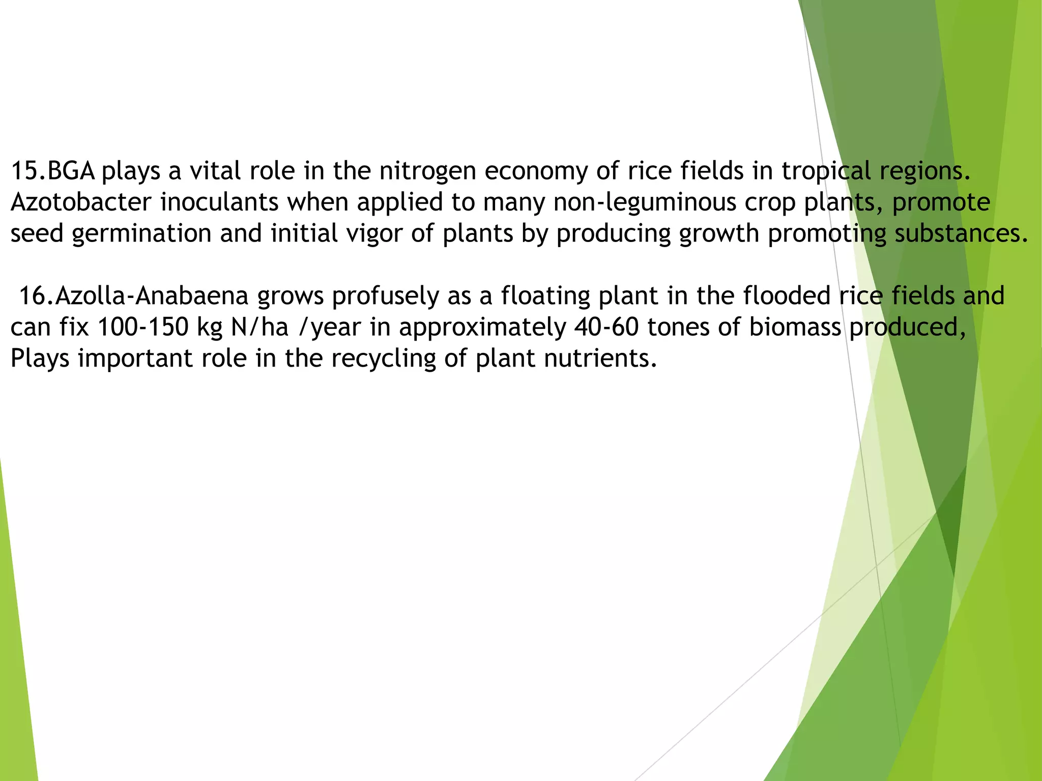 Role of biofertilizer in agriculture | PPTX