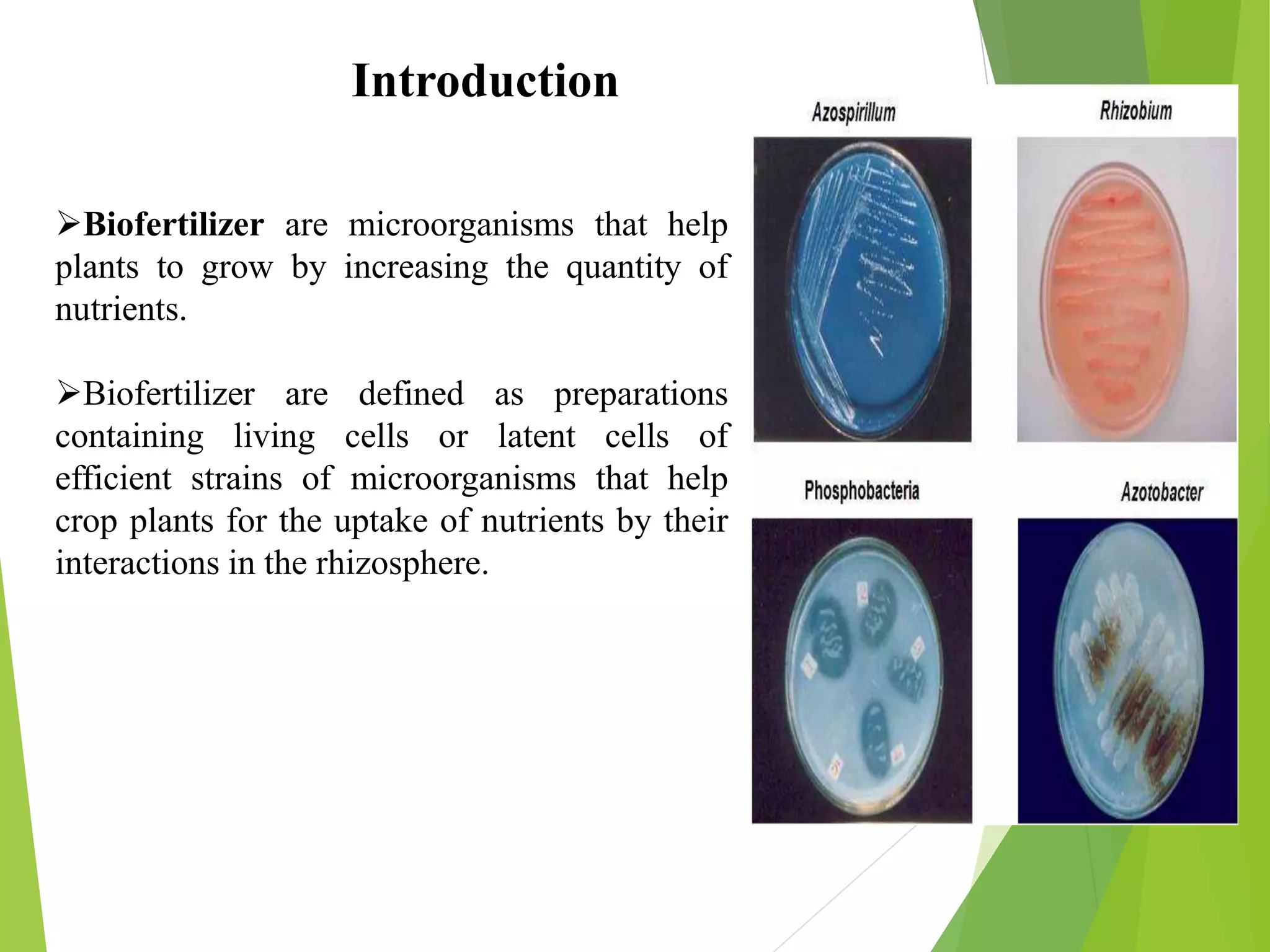 Role of biofertilizer in agriculture | PPTX