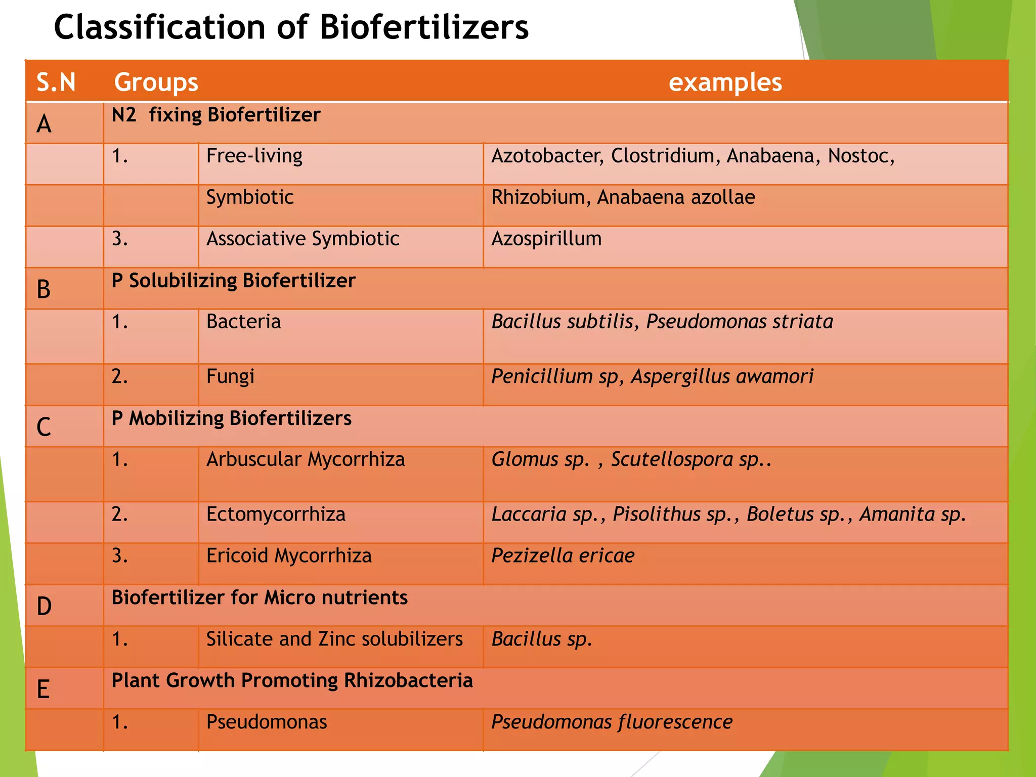 Role of biofertilizer in agriculture | PPTX