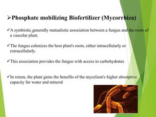Role of biofertilizer in agriculture | PPTX