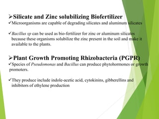 Role of biofertilizer in agriculture | PPTX