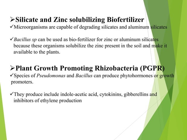 Role of biofertilizer in agriculture | PPTX | Agriculture | Industries