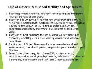 Role of biofertilizer in agriculture | PPTX