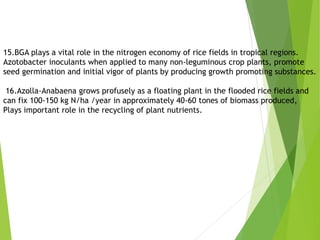 Role of biofertilizer in agriculture | PPTX
