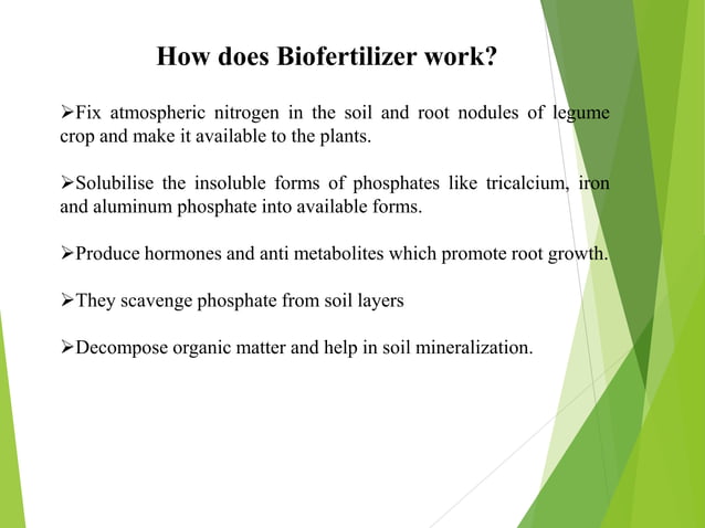 Role of biofertilizer in agriculture | PPTX | Agriculture | Industries