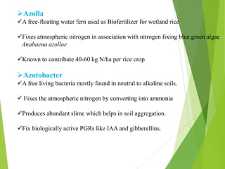 Role of biofertilizer in agriculture | PPTX