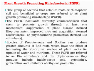 Role of Biofertilizer in Organic Agriculture.pptx