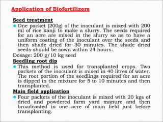 Role of Biofertilizer in Organic Agriculture.pptx
