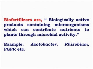 Role of Biofertilizer in Organic Agriculture.pptx