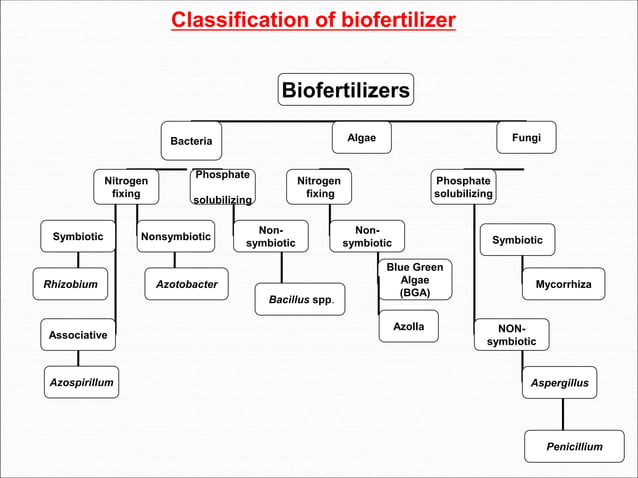 Role of Biofertilizer in Organic Agriculture.pptx | Agriculture ...
