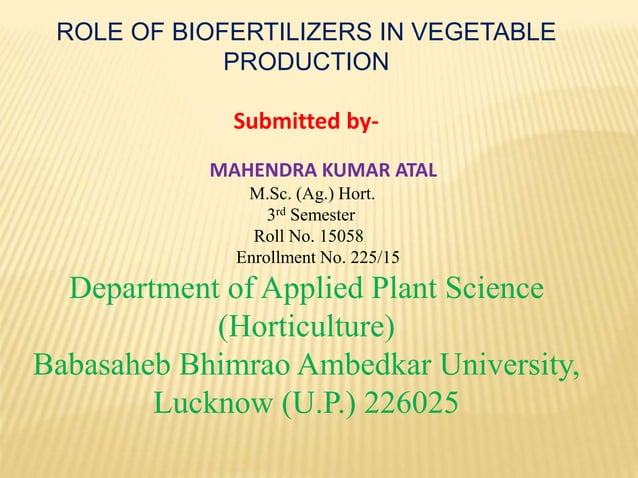 Role of biofertilizers | PPTX | Agriculture | Industries