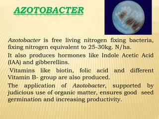 Role of biofertilizers | PPTX | Agriculture | Industries