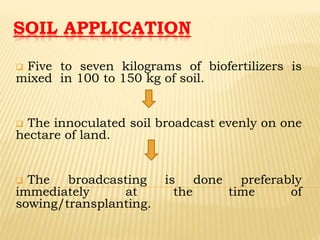 Role of biofertilizers | PPTX | Agriculture | Industries
