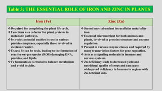Role of Biofortification in Combating Zinc & Iron Deficiency | PPTX