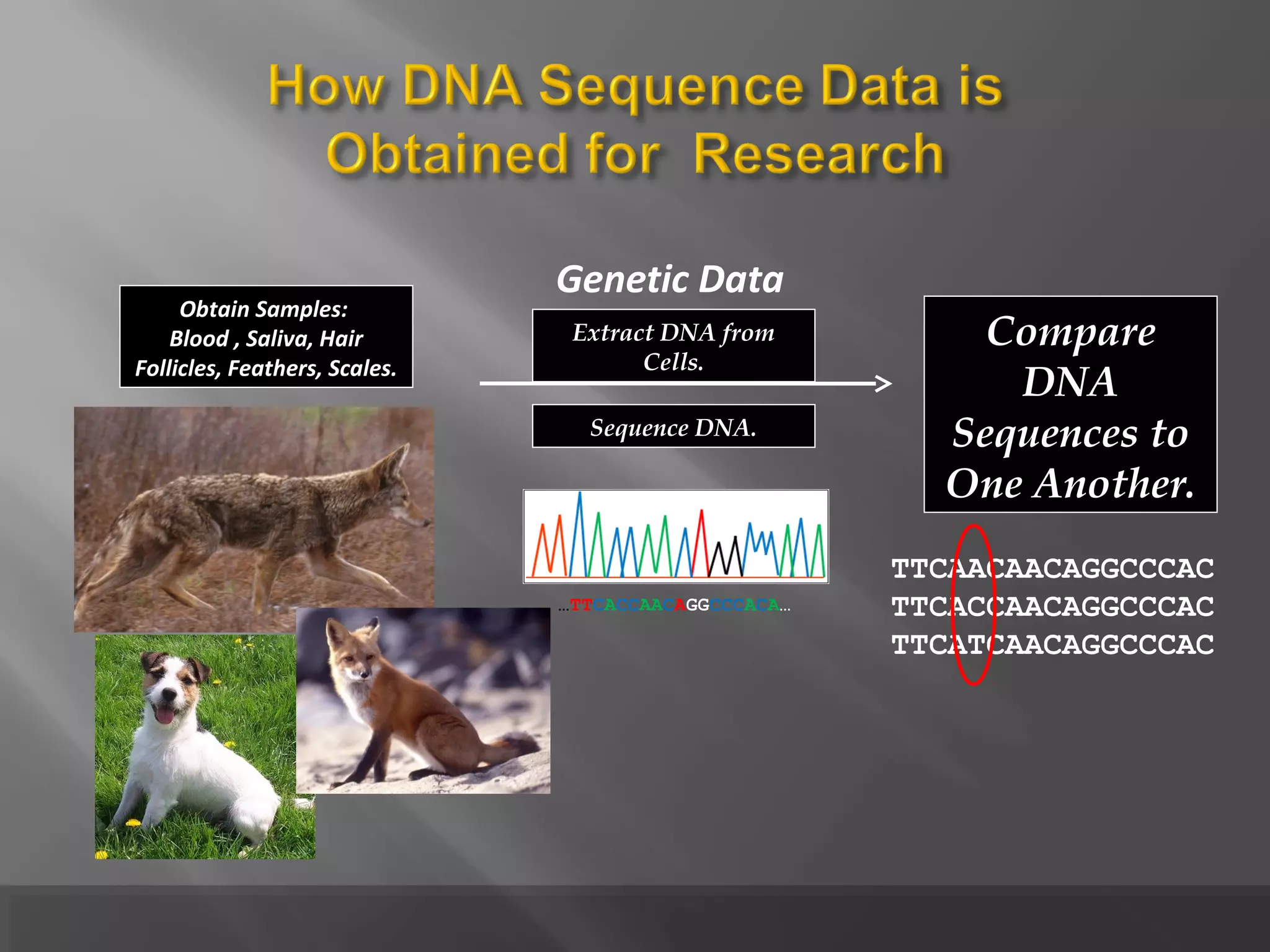Role of bioinformatics in life sciences research | PPT