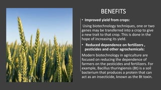 ROLE OF BIOTECHNOLOGY.pptx