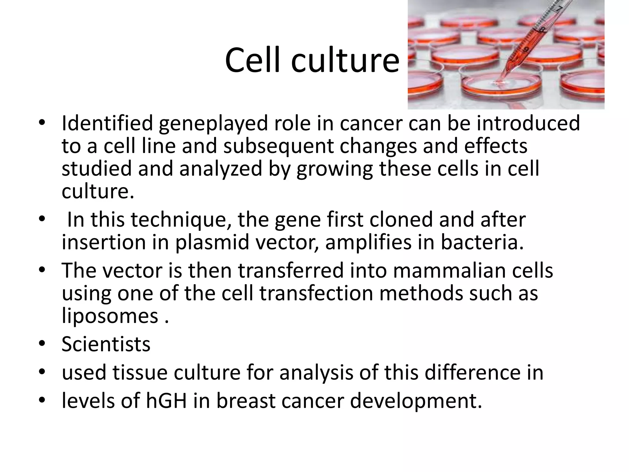 Role of biotechnology in cancer control | PPTX