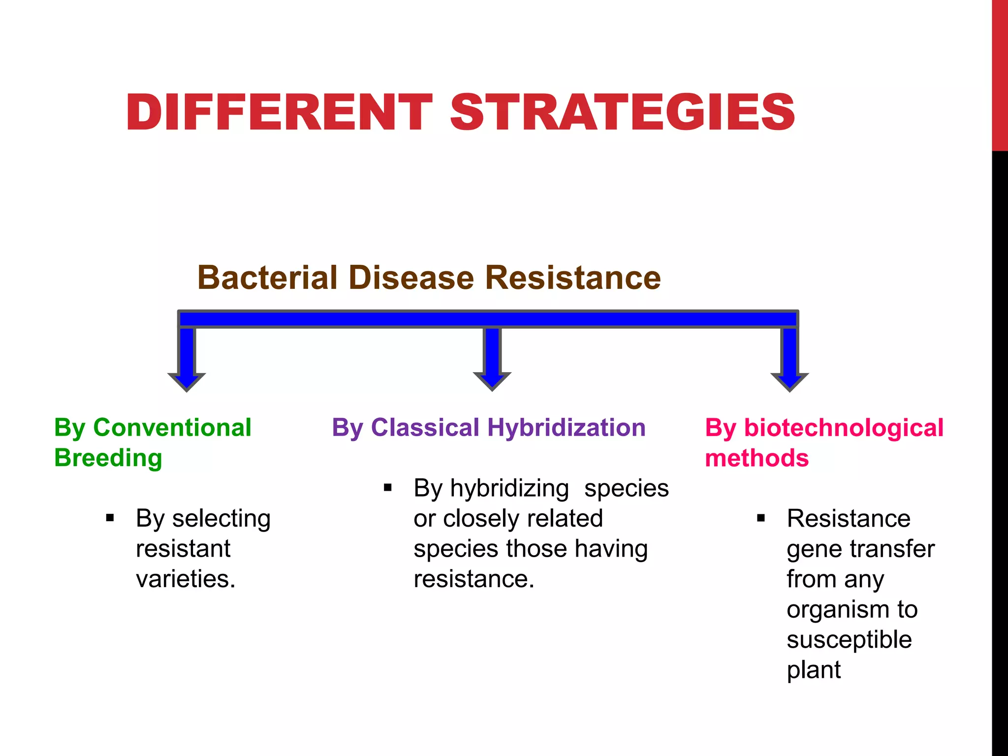 Role Of Biotechnology In Crop Improvement.pptx