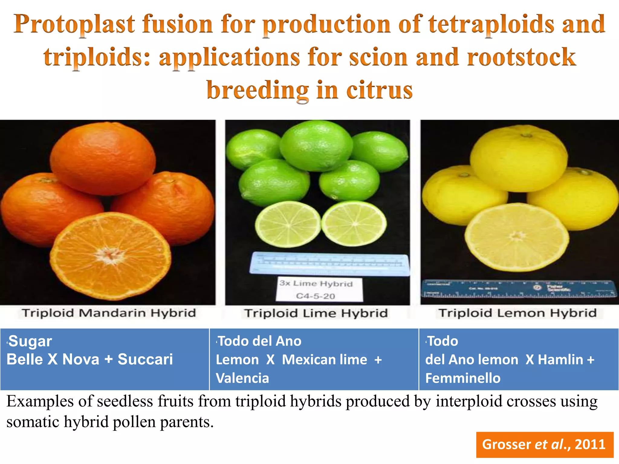 Role of biotechnology in enhancing fruit crop production and quality | PPTX
