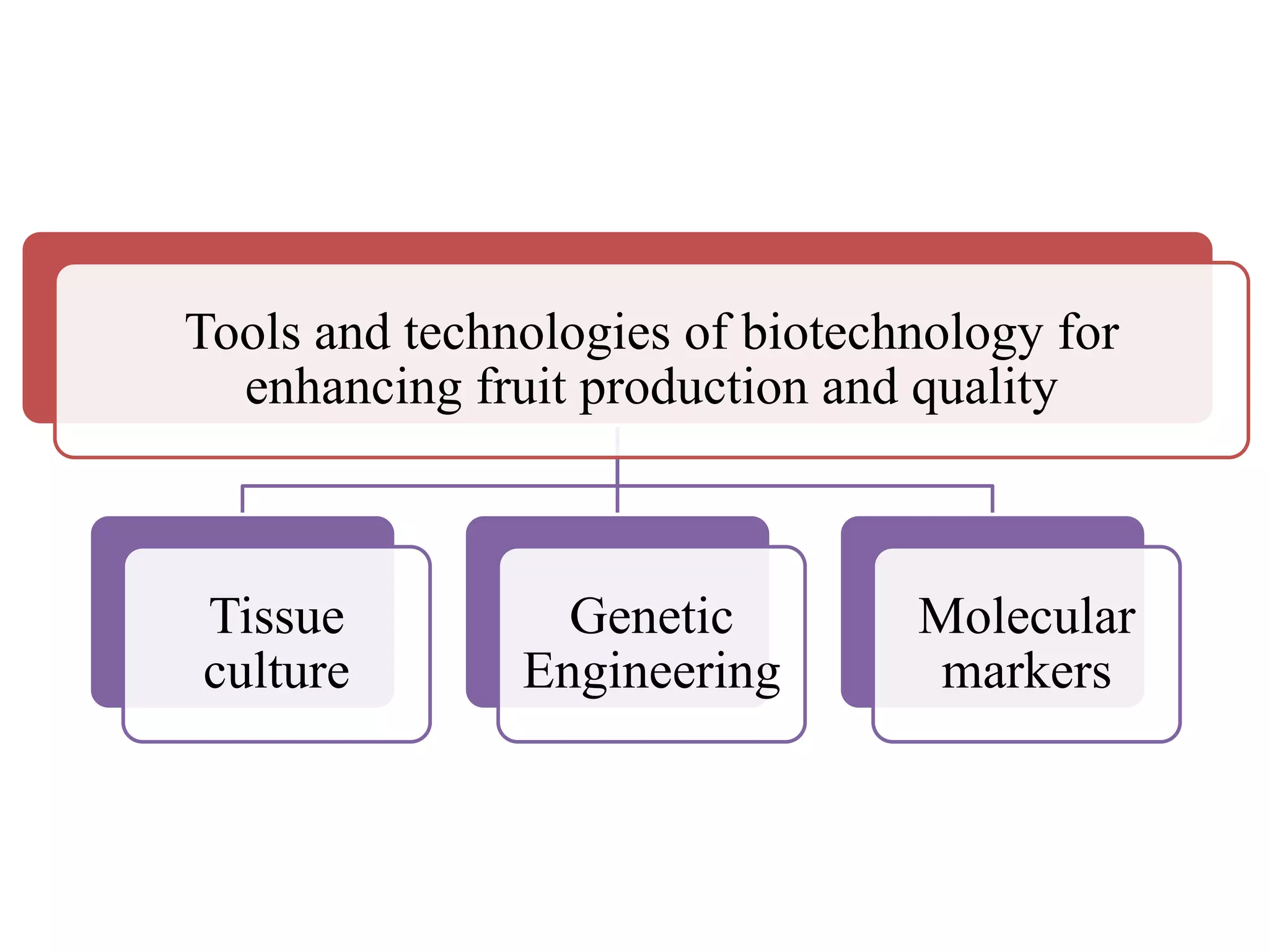 Role of biotechnology in enhancing fruit crop production and quality | PPTX