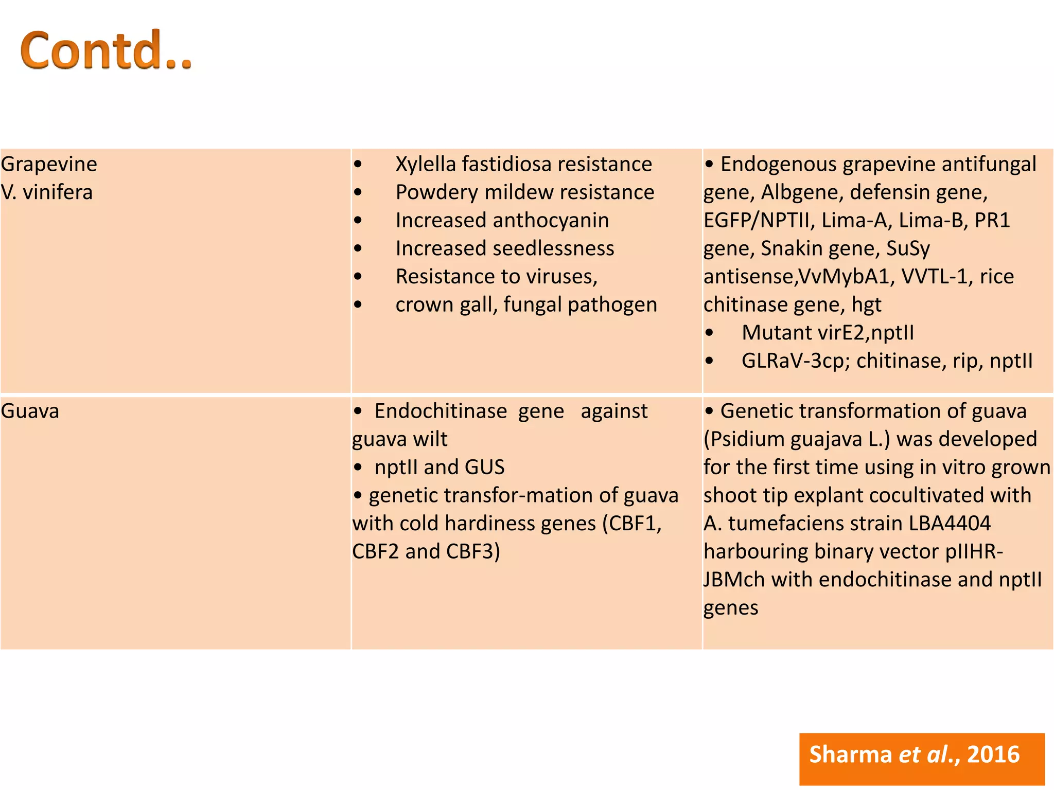 Role of biotechnology in enhancing fruit crop production and quality | PPTX