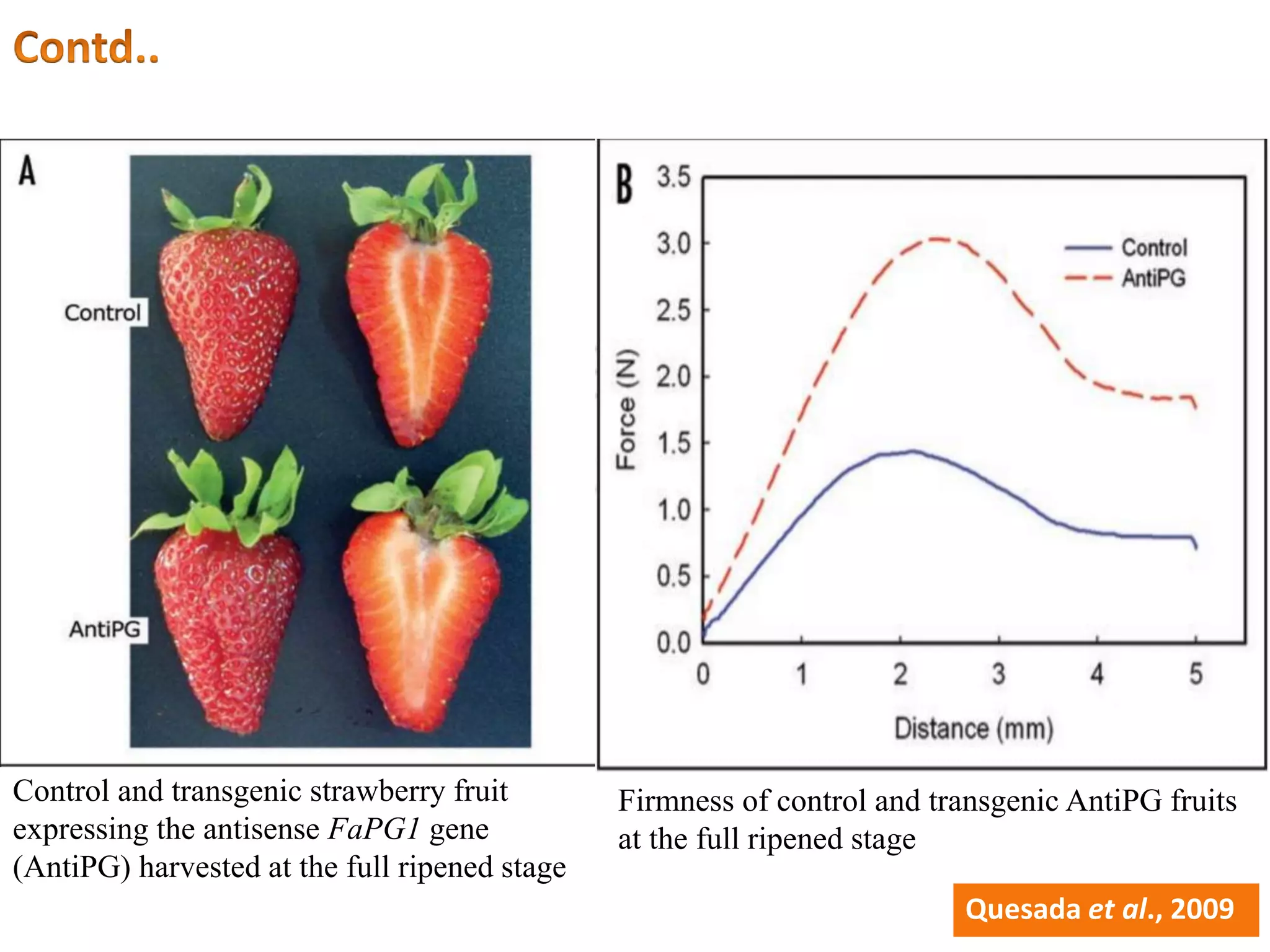 Role of biotechnology in enhancing fruit crop production and quality | PPTX
