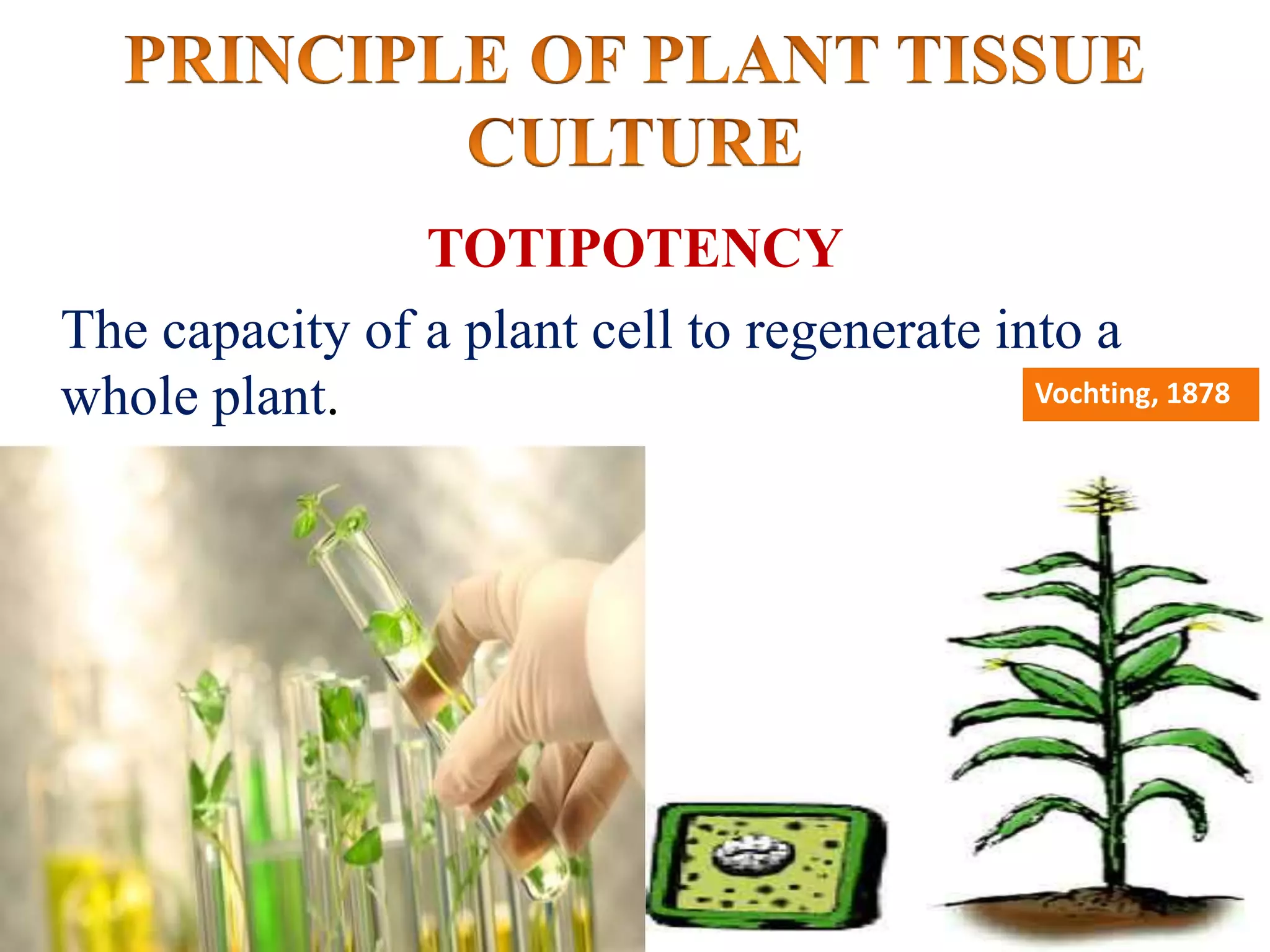 Role of biotechnology in enhancing fruit crop production and quality | PPTX