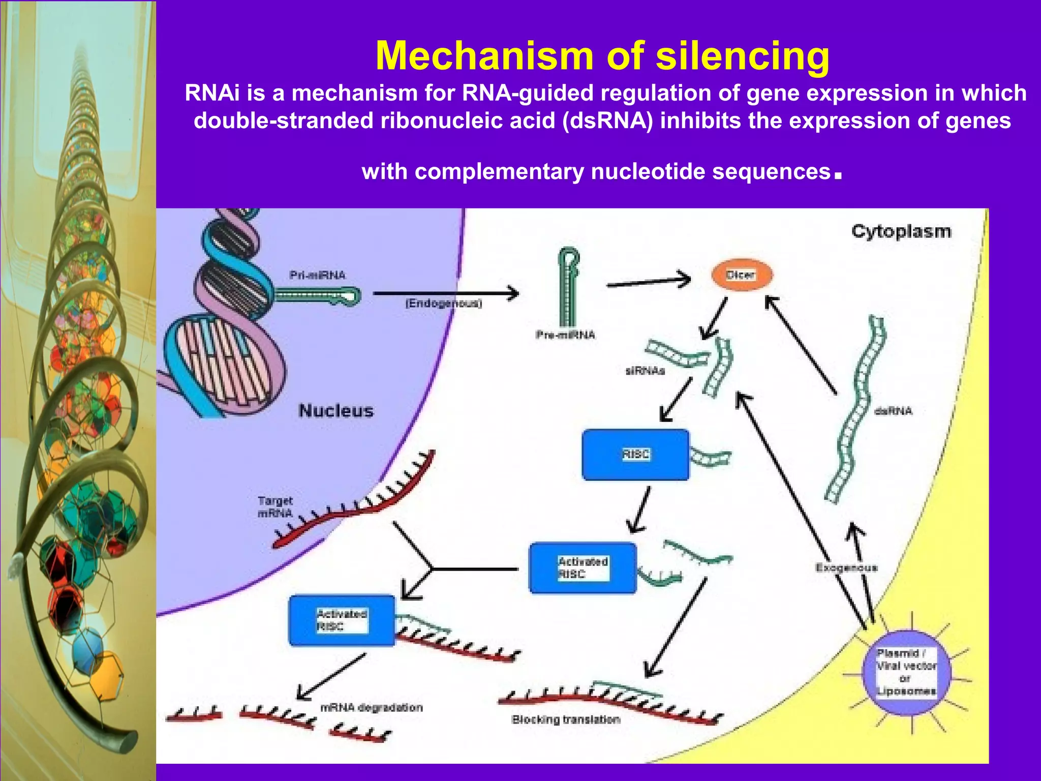 Role of biotechnology - gene silencing in plant disease control | PPT