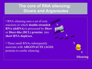 Role of biotechnology - gene silencing in plant disease control | PPT