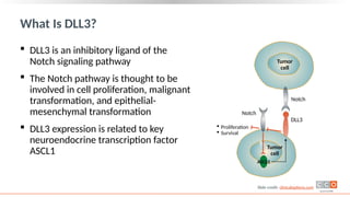 Role of BiTE (TARLATAMAB ) in extensive stage small cell lung cancer .pptx