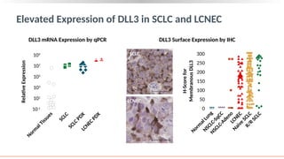 Role of BiTE (TARLATAMAB ) in extensive stage small cell lung cancer .pptx