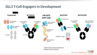 Role of BiTE (TARLATAMAB ) in extensive stage small cell lung cancer .pptx