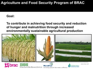 Role of brac with ganges basin development challenge | PPT