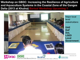 Role of brac with ganges basin development challenge | PPT