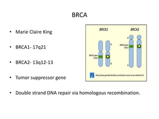 Role of brca, her2 neu and newer agents | PPT