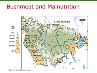 Bushmeat Trade Map