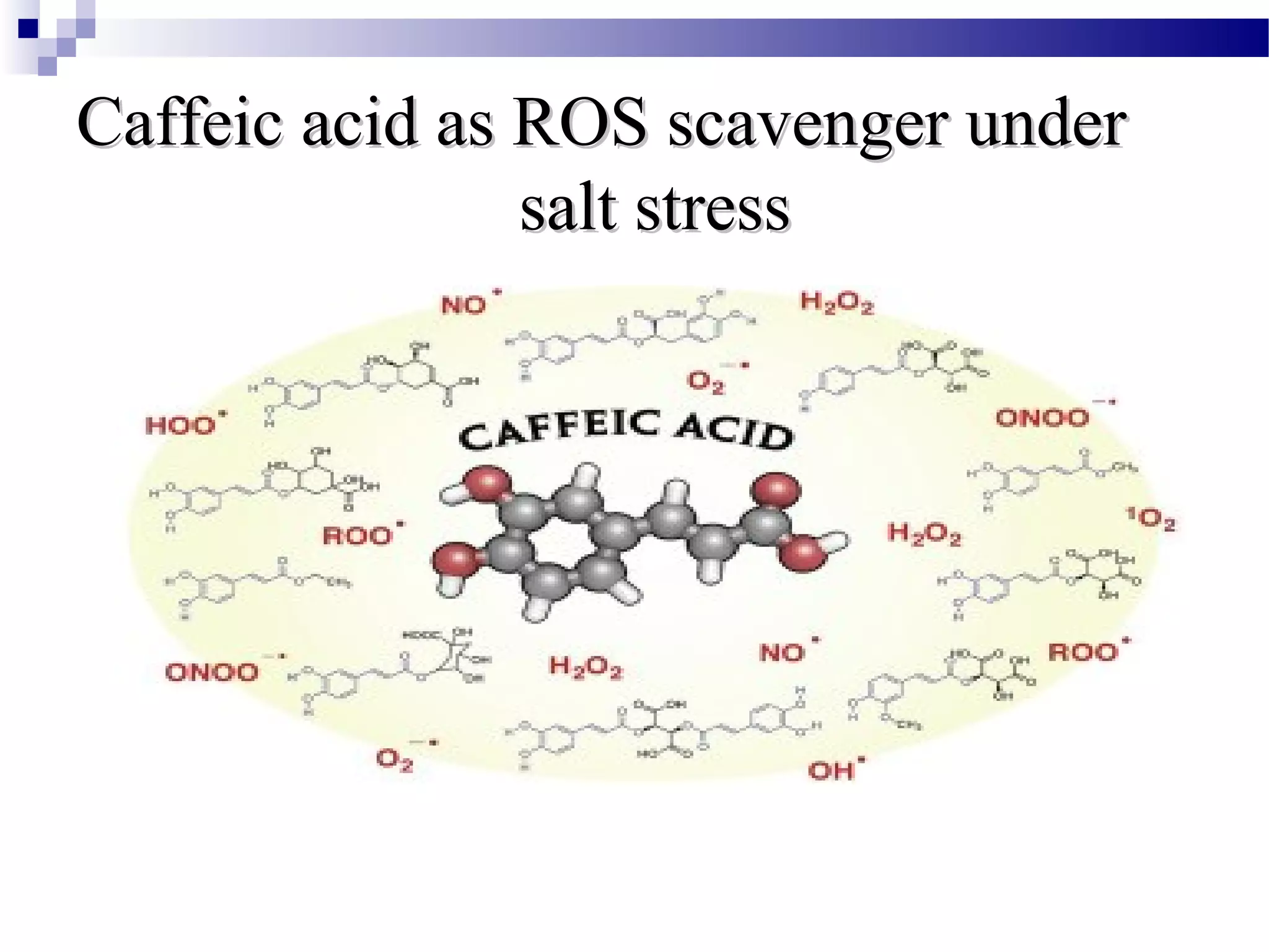 Role of caffeic acid in mitigating salt stress in plants | PPT