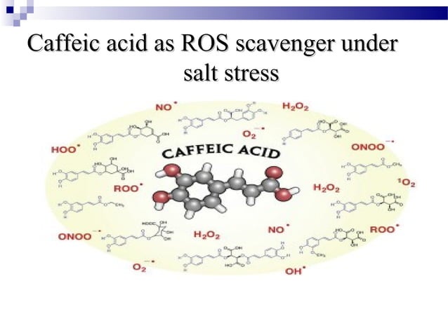 Role of caffeic acid in mitigating salt stress in plants | PPT