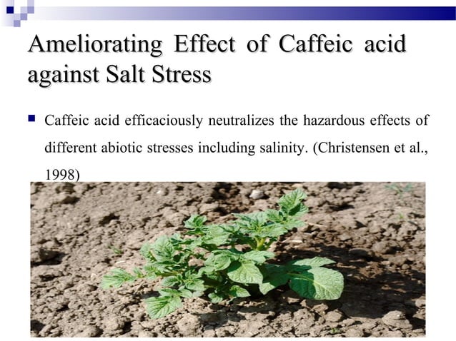 Role of caffeic acid in mitigating salt stress in plants | PPT
