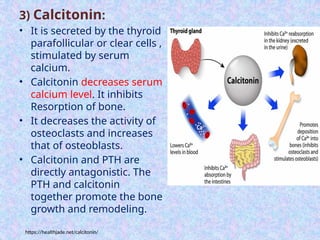 Role of Calcium in Bone metabolism & pathologies SEMINAR 2.pptx
