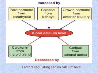 Role of Calcium in Bone metabolism & pathologies SEMINAR 2.pptx
