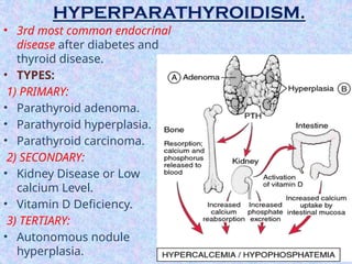 Role of Calcium in Bone metabolism & pathologies SEMINAR 2.pptx