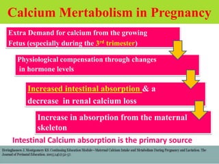 Role of Calcium in pregnancy DR. SHARDA JAIN Dr. Jyoti Agarwal Dr ...